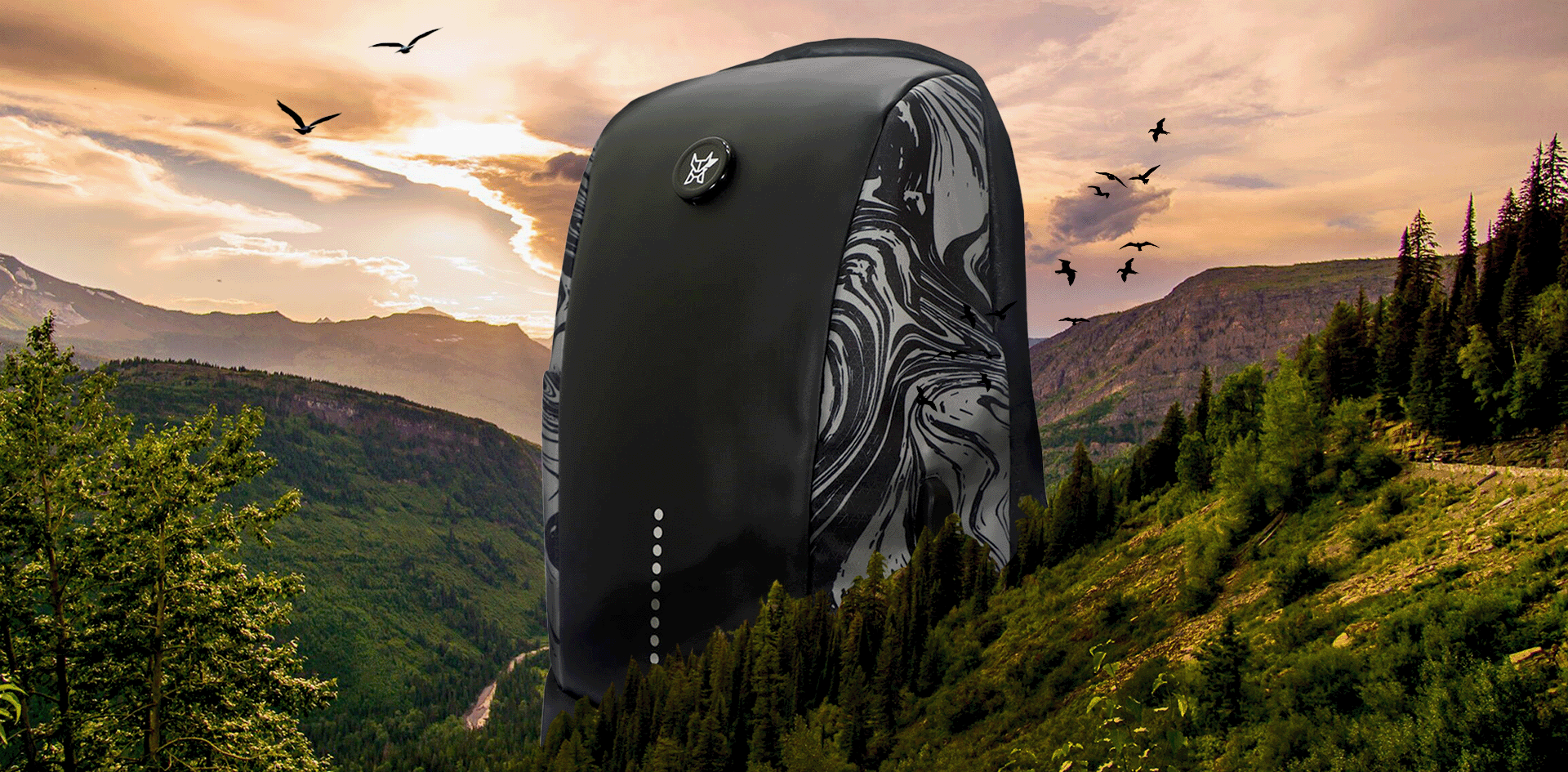 Arctic Fox | Backpacks, Messenger Bags, Duffles, School Shoes & More